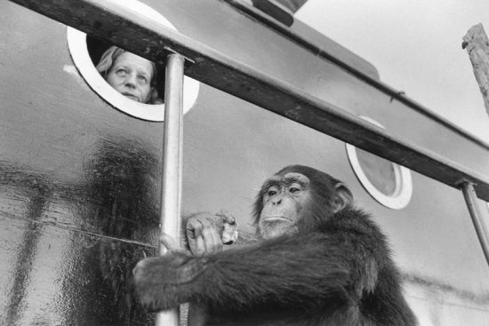 #2015-11-27 | Evolution – shop.YourDailyPhotograph.com