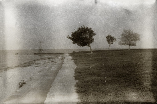 #2016-05-28 | Three Trees – shop.YourDailyPhotograph.com