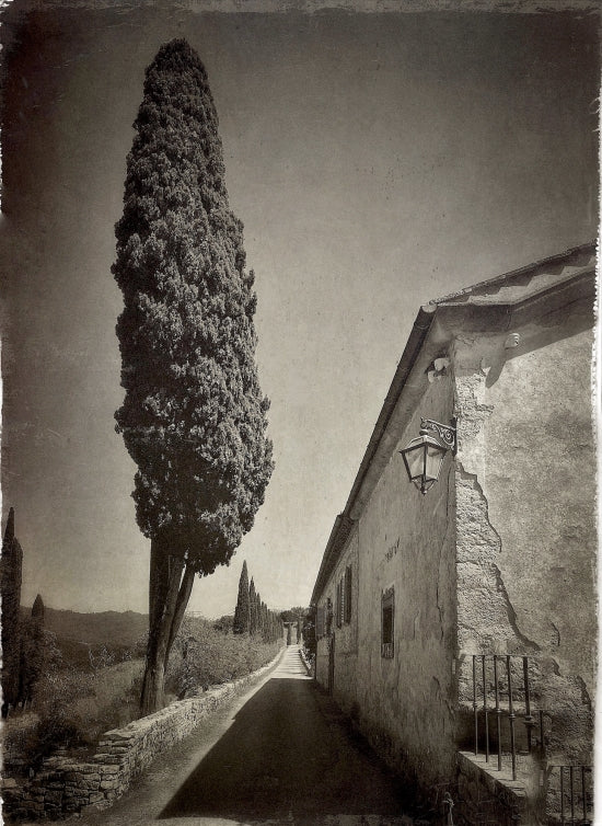 #2022-11-25 | Tuscan Road – shop.YourDailyPhotograph.com