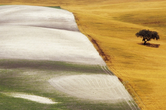 #2018-10-02 | Spring In Andalusia, Spain – shop.YourDailyPhotograph.com