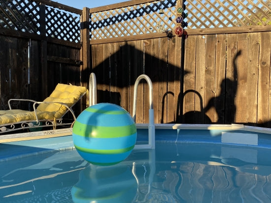 #2022-11-07 | Pool Dance – shop.YourDailyPhotograph.com